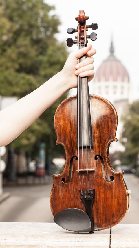 Moretto Violins Luthier